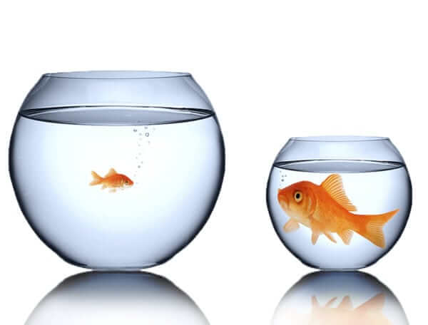 3 Uniques Approaches To Sizing Quality Systems | Waddell Group